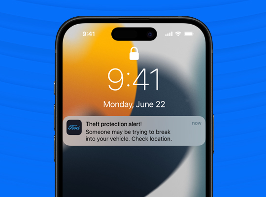 Ford Security Package